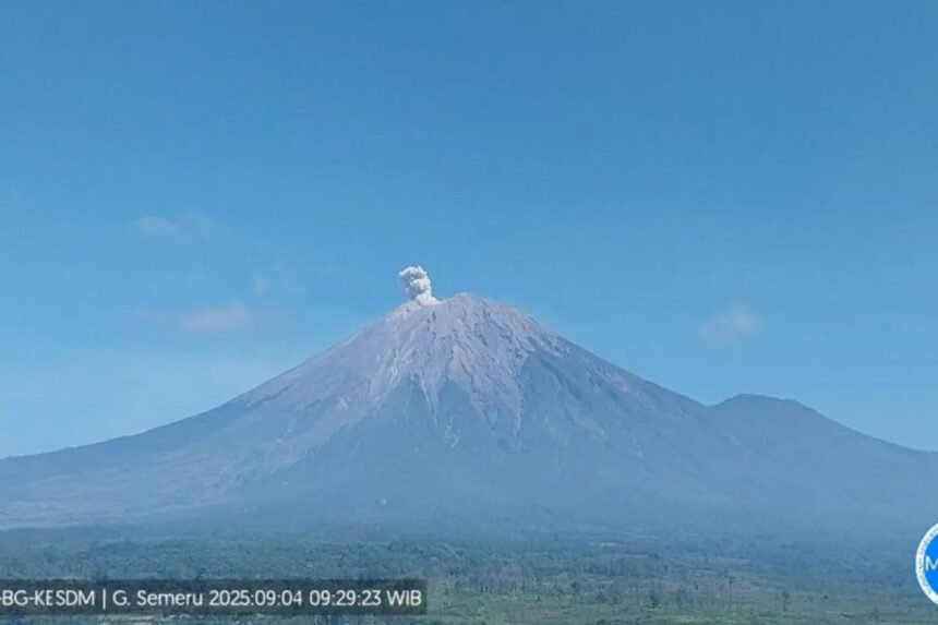 Gunung Semeru Erupsi Kembali, Kolom Abu Menjangkau 500 Meter di Atas Puncak – GARUDA TV